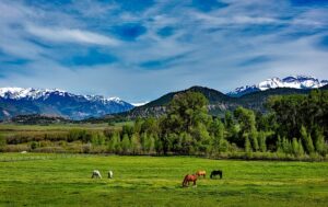 Colorado Workers’ Compensation Contact Info - WorkersCompensation.com